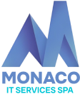 Monaco IT Services